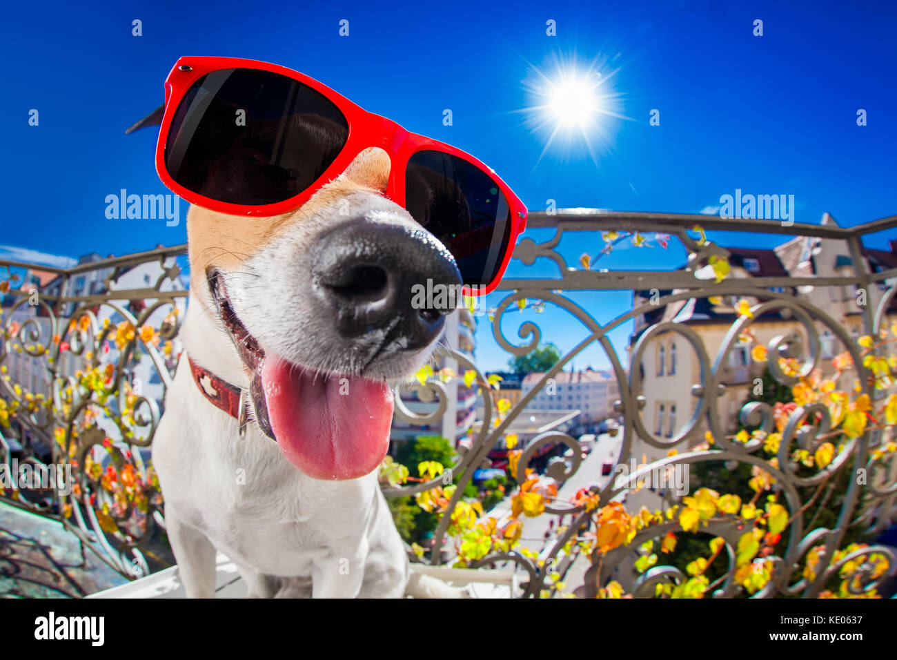 Dummer jack -Fotos und -Bildmaterial in hoher Auflösung – Alamy