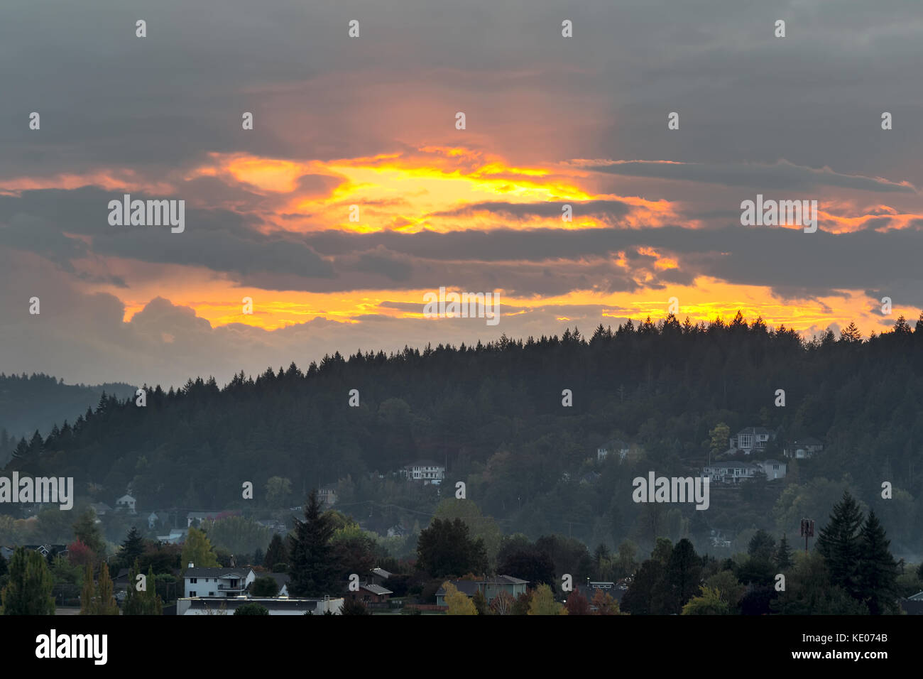 Montae talbert -Fotos und -Bildmaterial in hoher Auflösung – Alamy
