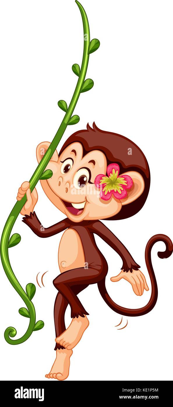 Flauschiger Gorilla Stockfotos und -bilder Kaufen - Alamy