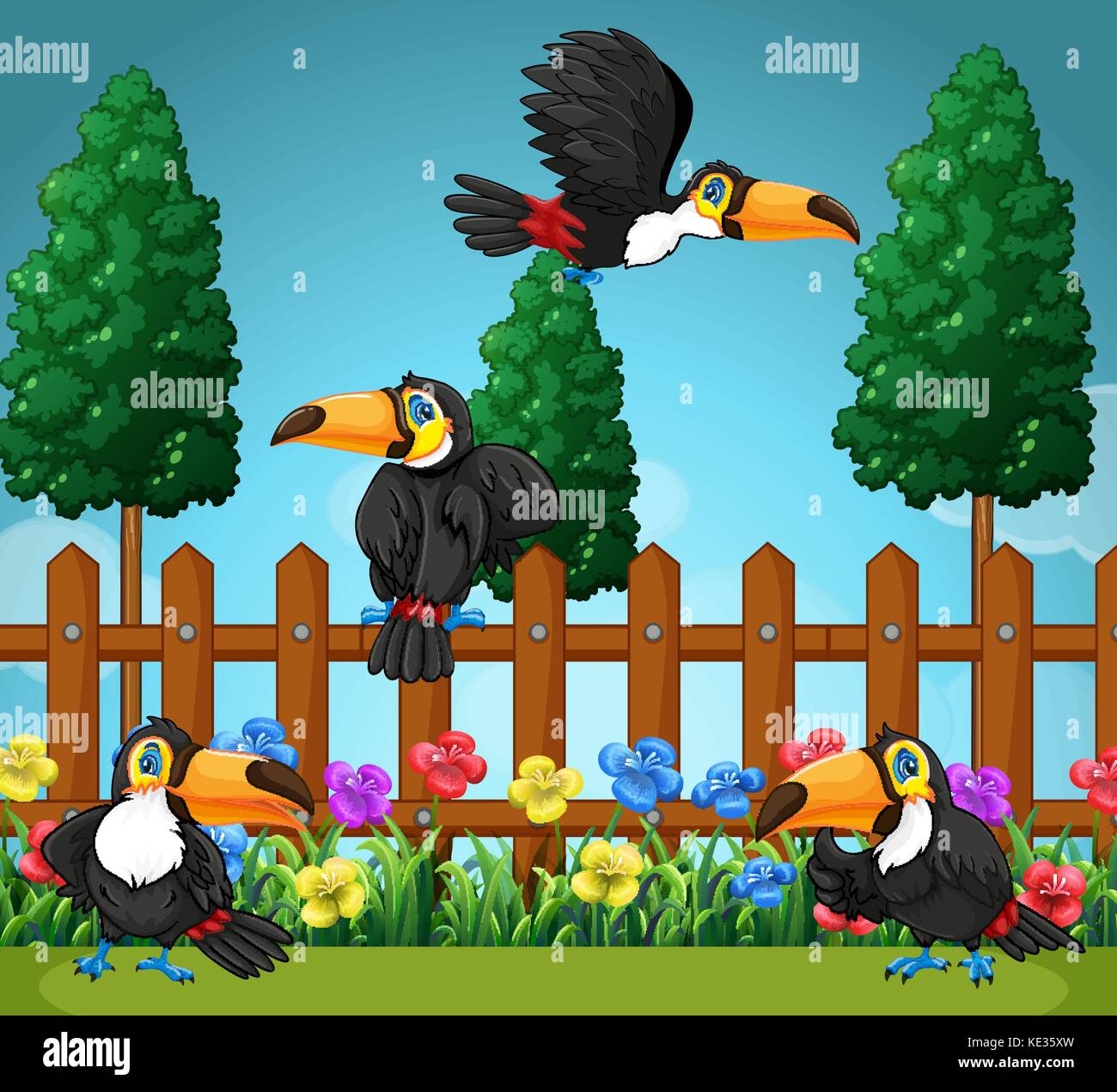 Fliegen in tukanen -Fotos und -Bildmaterial in hoher Auflösung – Alamy