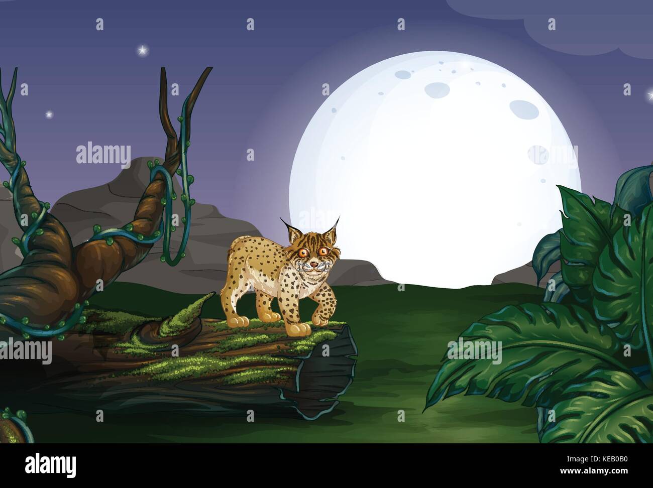 Luchs zeichnung Stock-Vektorgrafiken kaufen - Alamy