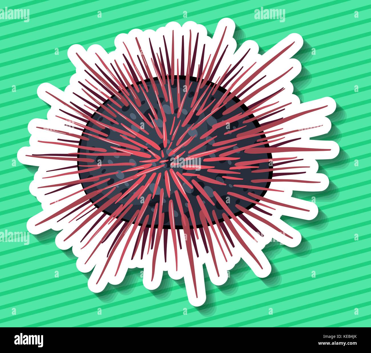 Seeigel vektor vektoren -Fotos und -Bildmaterial in hoher Auflösung – Alamy