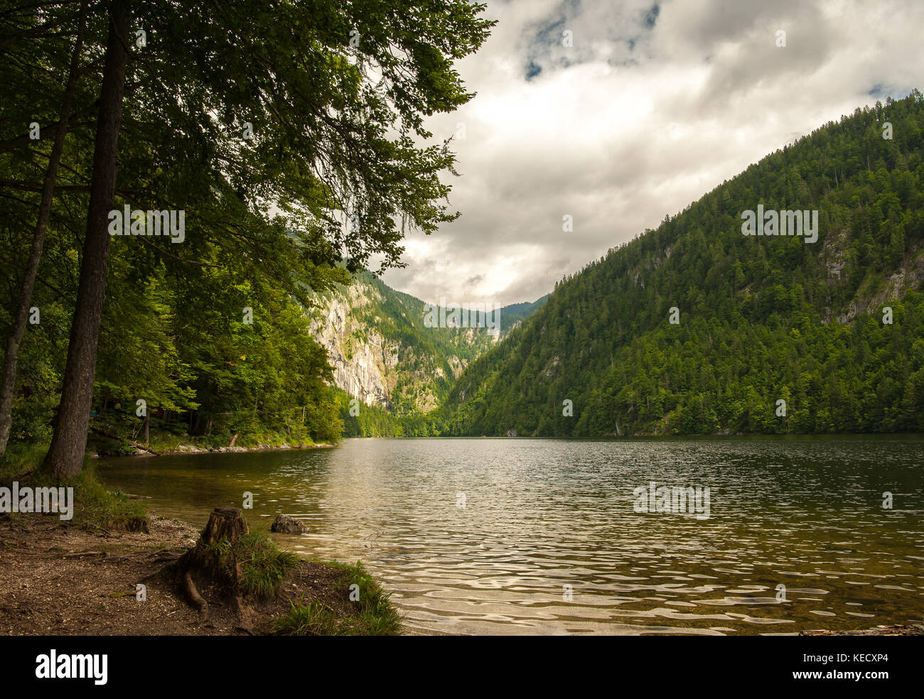 Toplitzsee (Salzkammergut, Österreich) im Sommer an einem bewölkten Tag ...