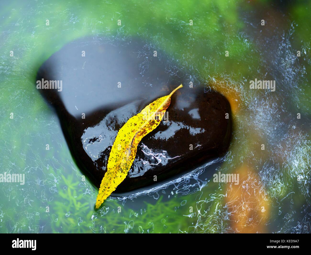 Weide Gebrochen Stockfotos und -bilder Kaufen - Alamy