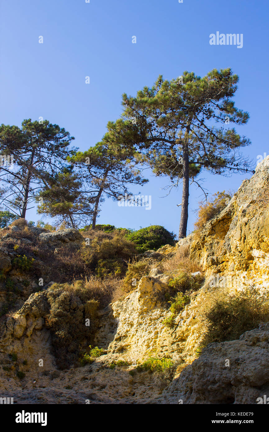 Sedimentgesteinsformation am strand -Fotos und -Bildmaterial in hoher Auflösung – Alamy