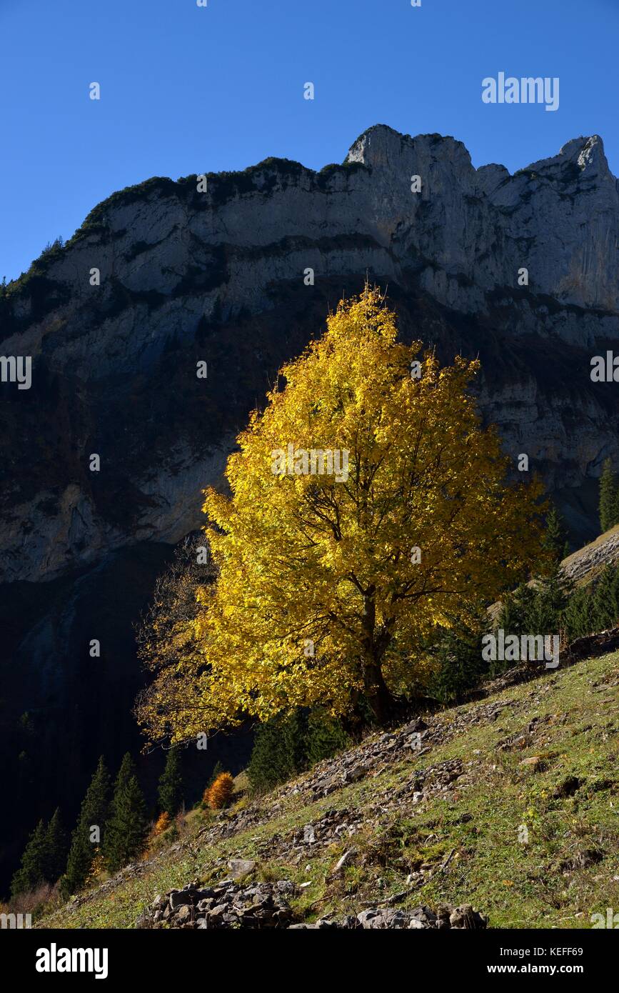 Canton appenzell innerrhoden -Fotos und -Bildmaterial in hoher ...
