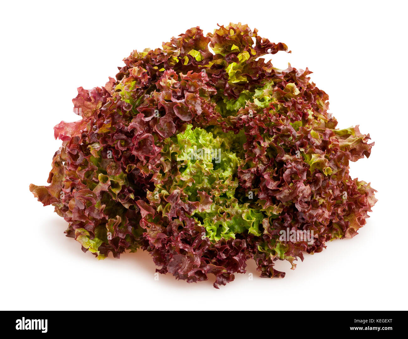 Roter lockiger beschneidungspfad -Fotos und -Bildmaterial in hoher ...