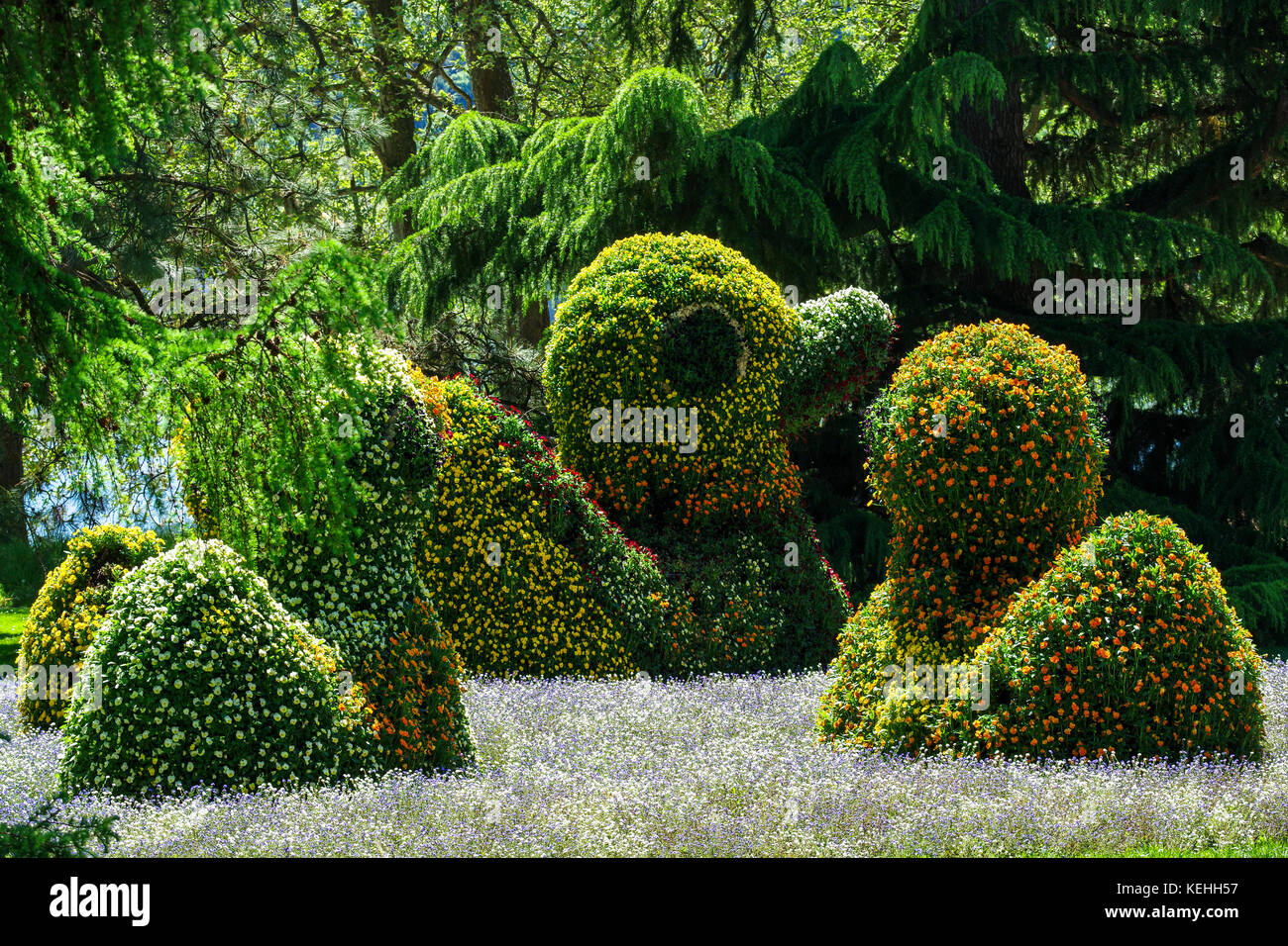 Im hintergrund mainau insel -Fotos und -Bildmaterial in hoher Auflösung ...