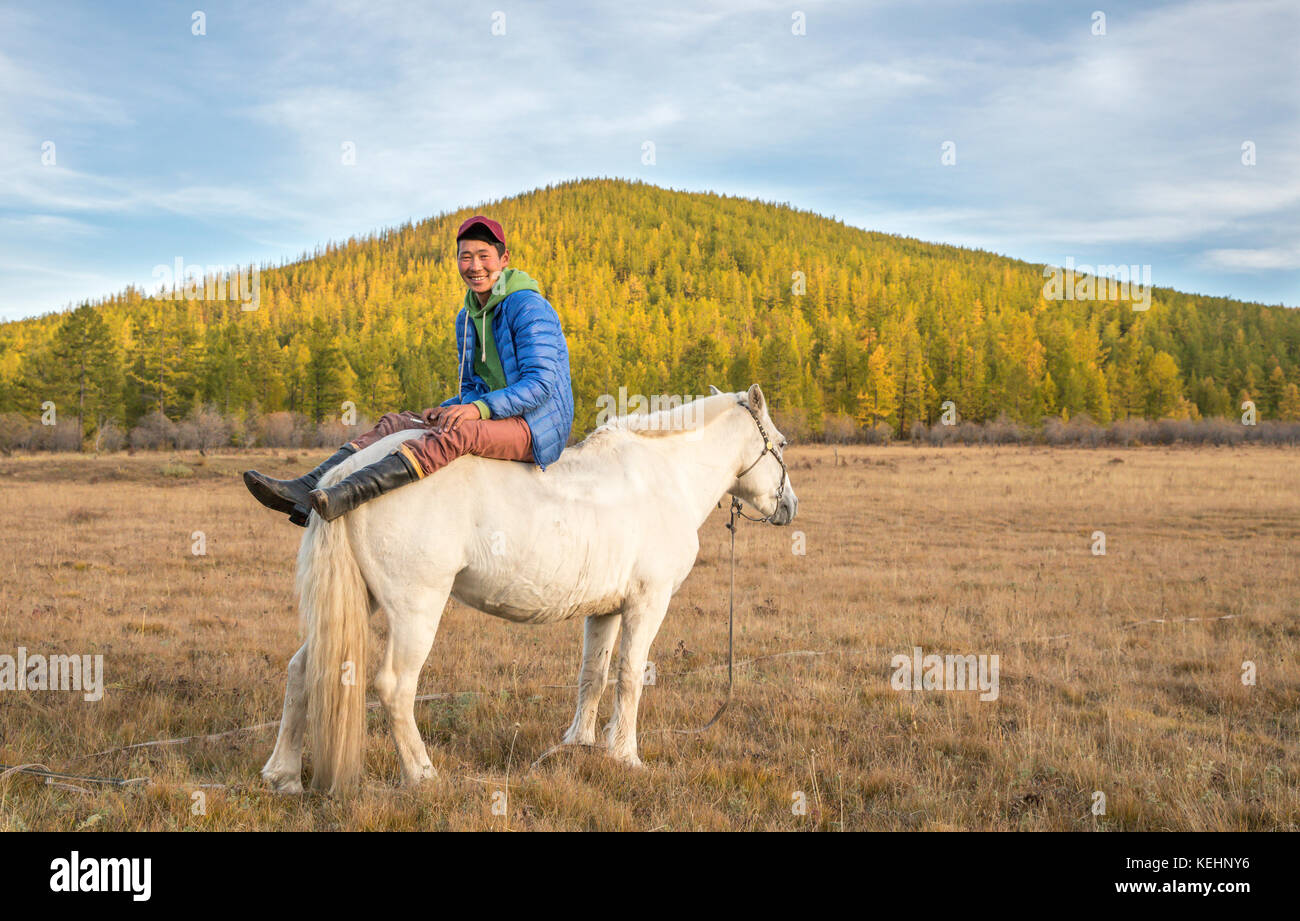 Man sitting on horse -Fotos und -Bildmaterial in hoher Auflösung – Alamy