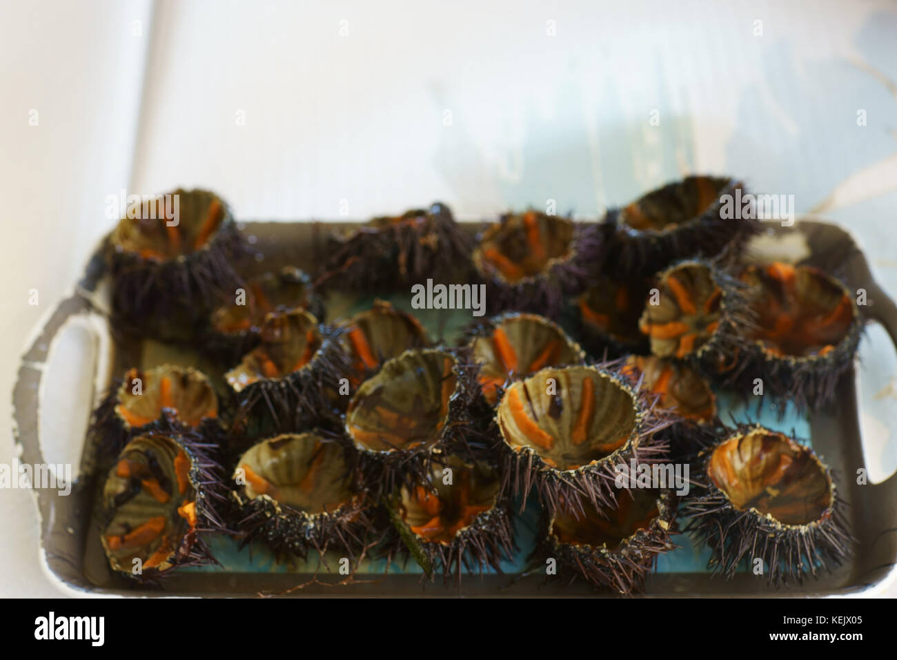 Seeigel essen -Fotos und -Bildmaterial in hoher Auflösung – Alamy