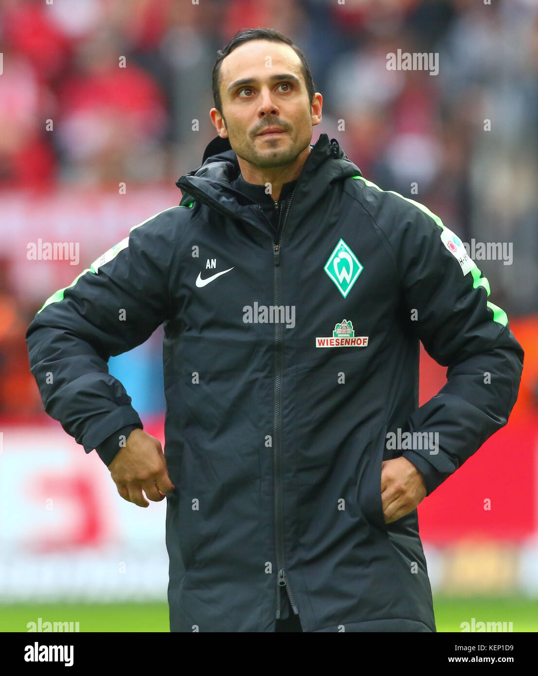 Alexander nouri -Fotos und -Bildmaterial in hoher Auflösung – Alamy