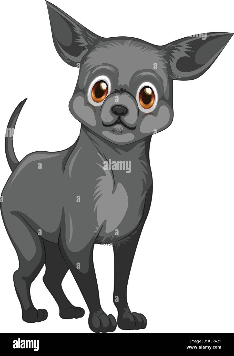 Schwarze chihuahua Stock-Vektorgrafiken kaufen - Alamy