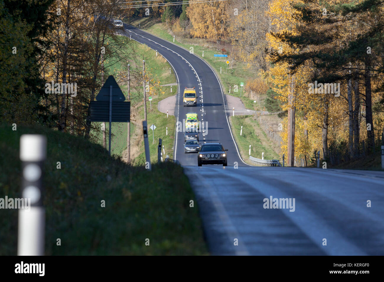 Verkehr im wald -Fotos und -Bildmaterial in hoher Auflösung – Alamy