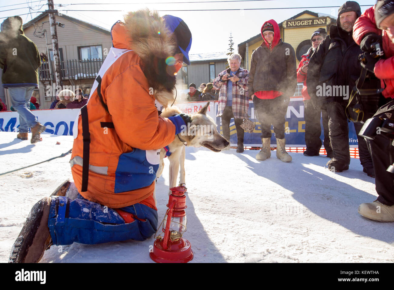 Iditarod 2017 ziellinie -Fotos und -Bildmaterial in hoher Auflösung – Alamy