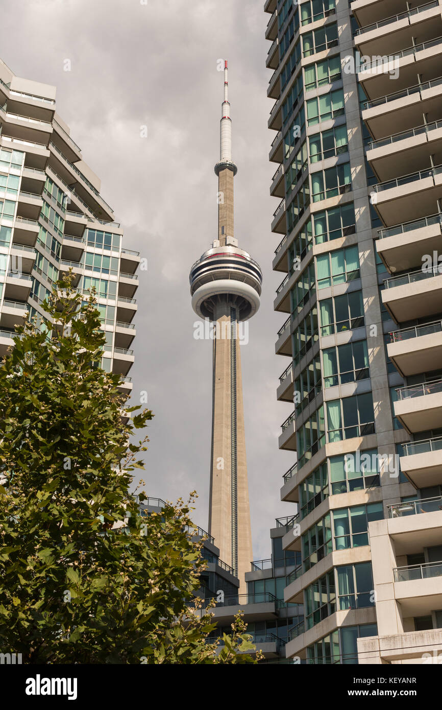 Blick auf den CN Tower durch hohe Gebäude in der Innenstadt von Toronto ...