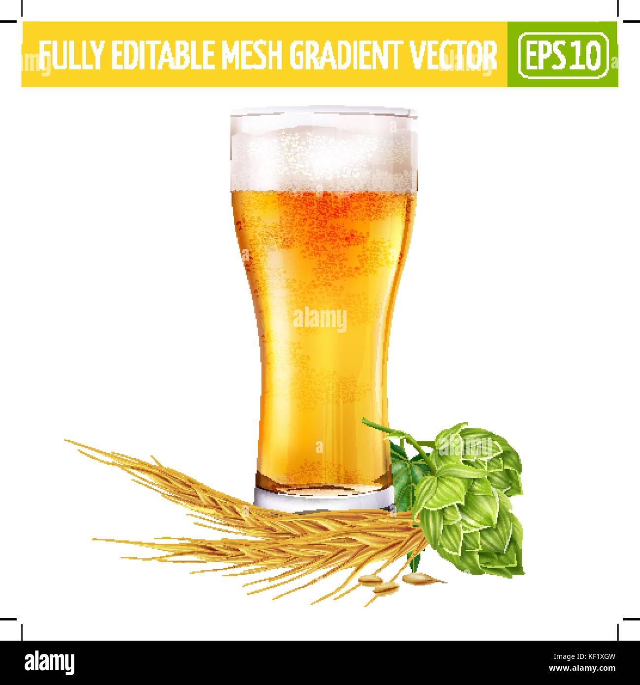 Glas Bier und Hopfen auf weißem Hintergrund. Vector Illustration Stock ...
