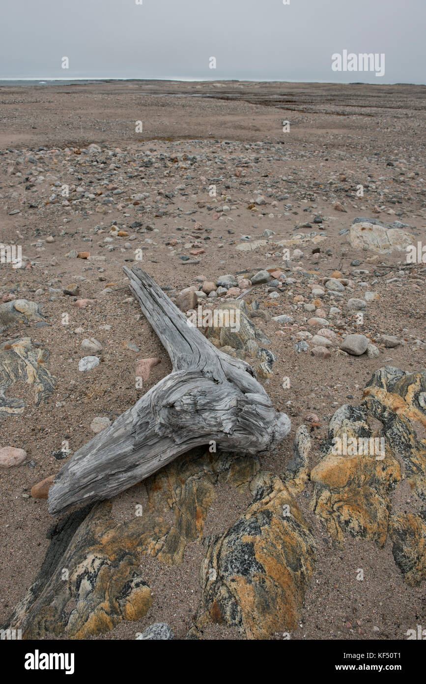 Norwegen, Spitzbergen, Nordaustlandet, desolate Insel Kvitoya. Insel ...