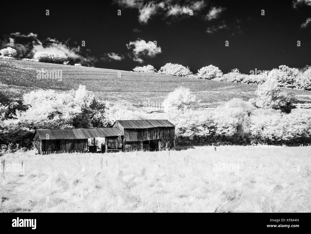 Altes wellblech -Fotos und -Bildmaterial in hoher Auflösung – Alamy