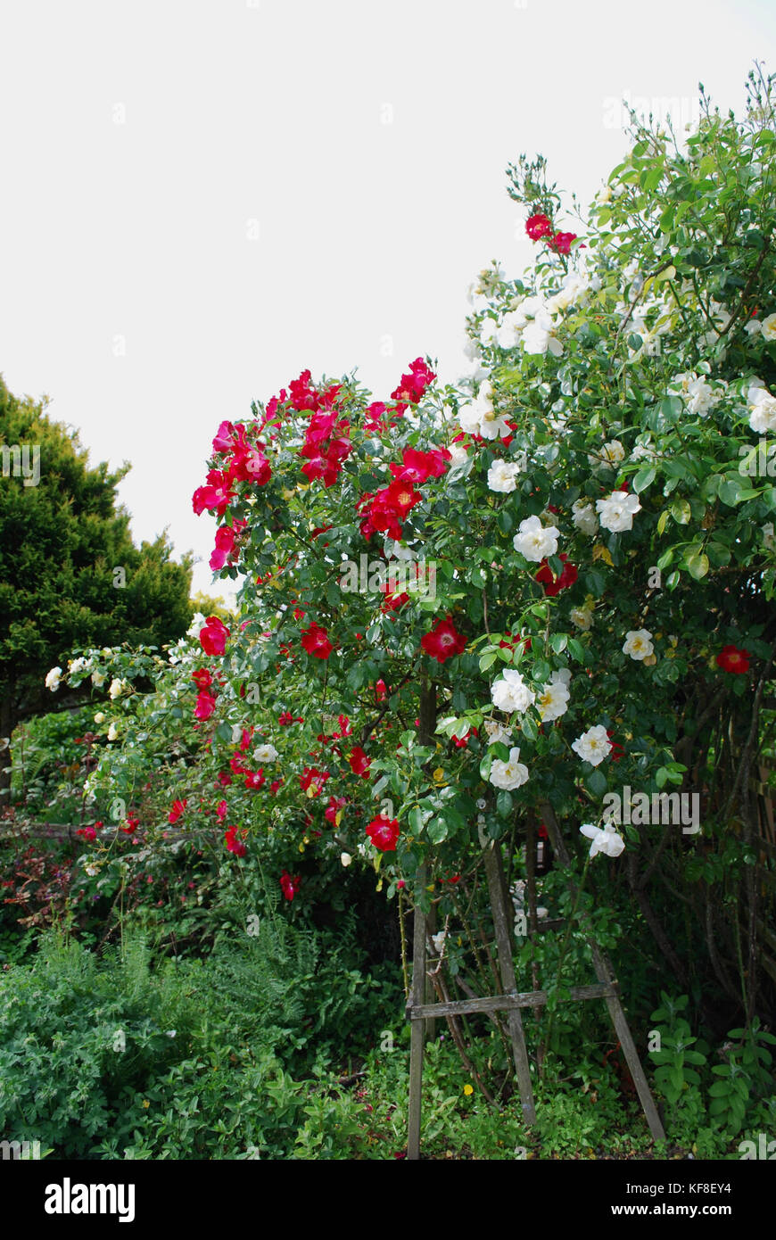 Dortmund nordwest -Fotos und -Bildmaterial in hoher Auflösung – Alamy