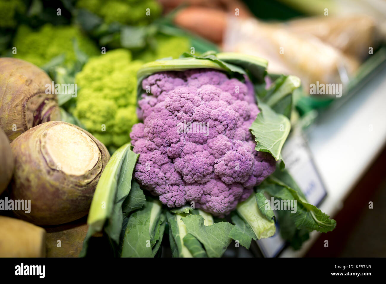 Violetter Blumenkohl Stockfotos und -bilder Kaufen - Alamy