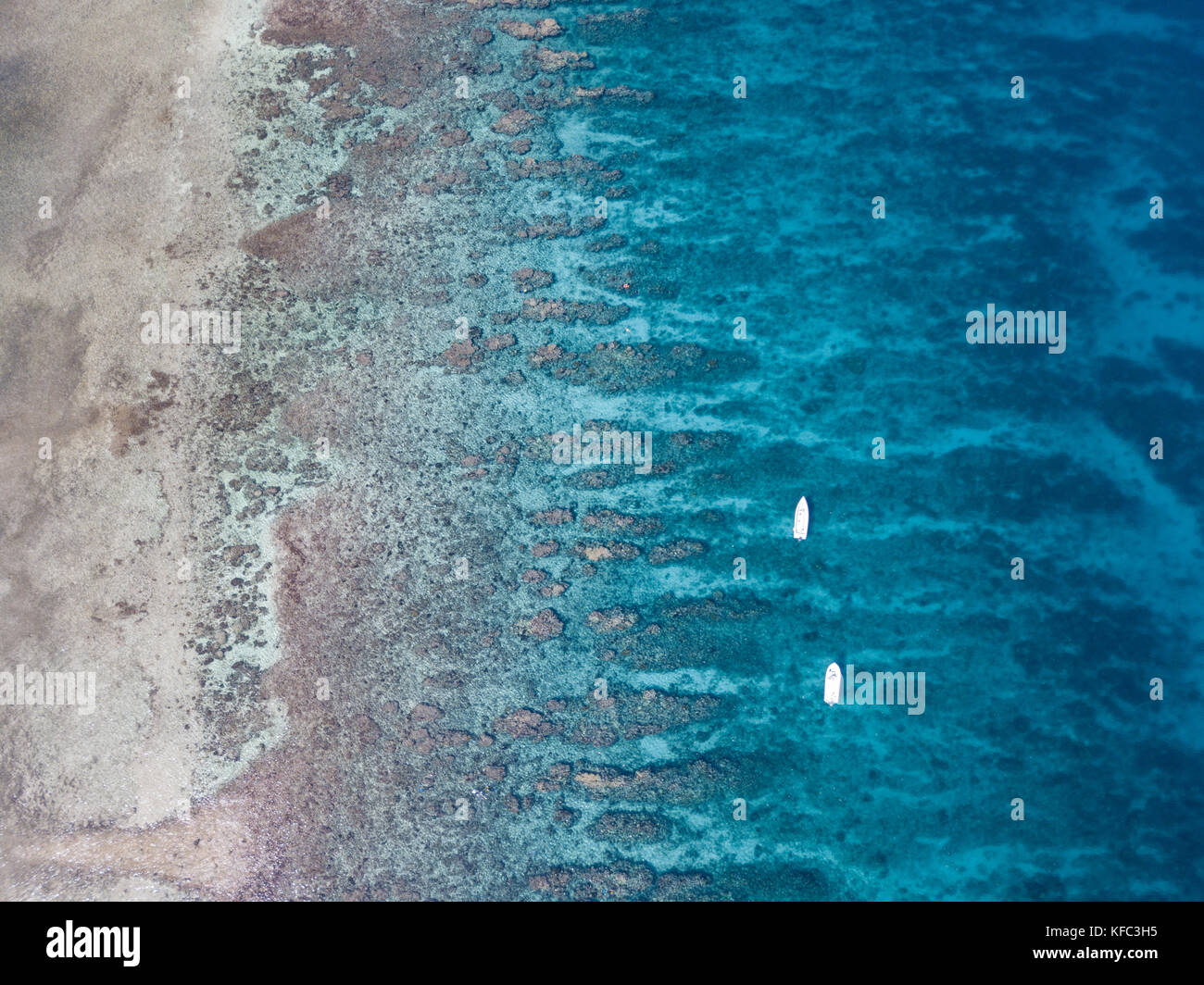 Ein luftbild von einem schönen Korallenriff am Rande des turneffe Atoll ...