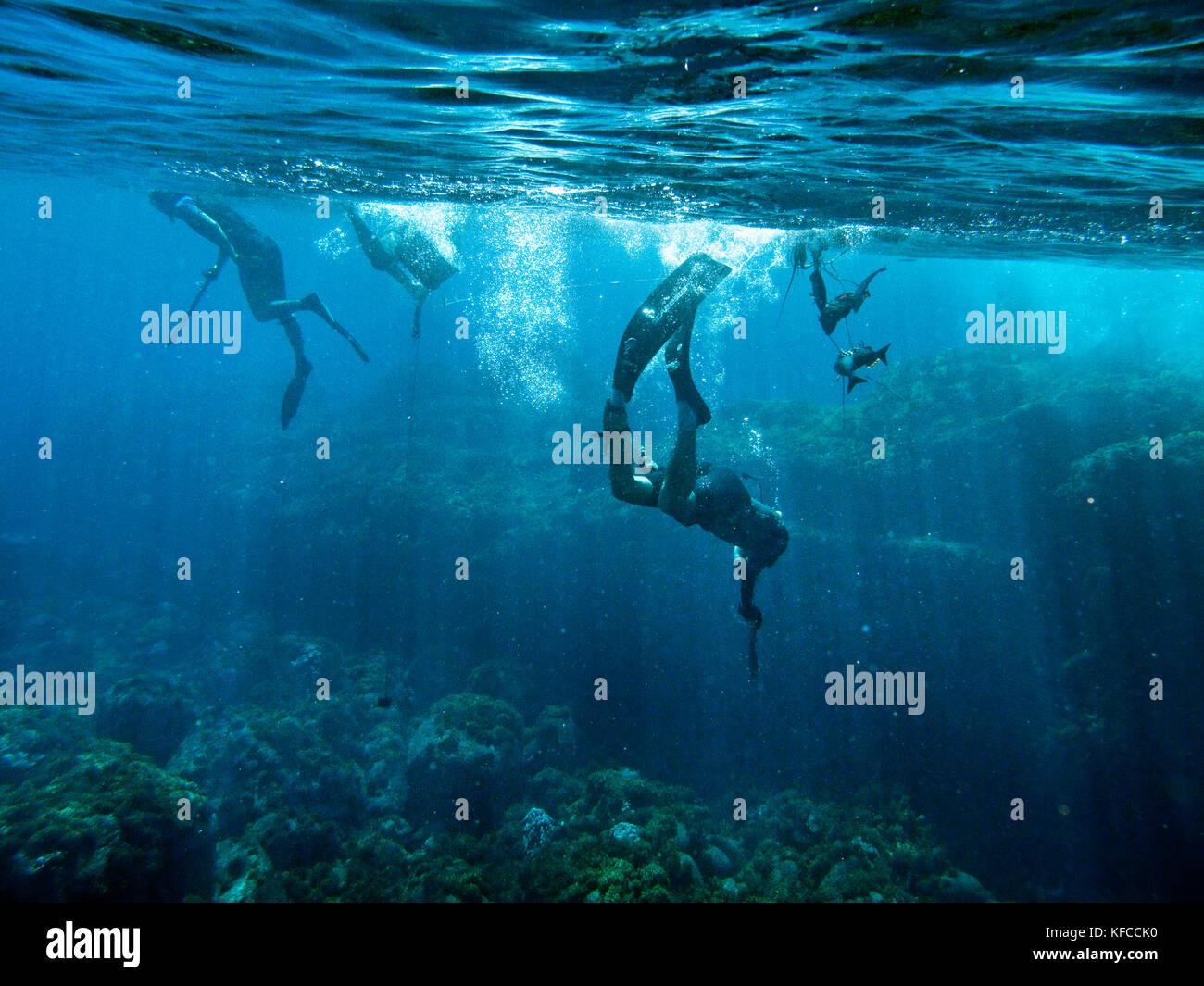 OSTERINSEL, CHILE, Isla de Pascua, Rapa Nui, Freitauchen und ...