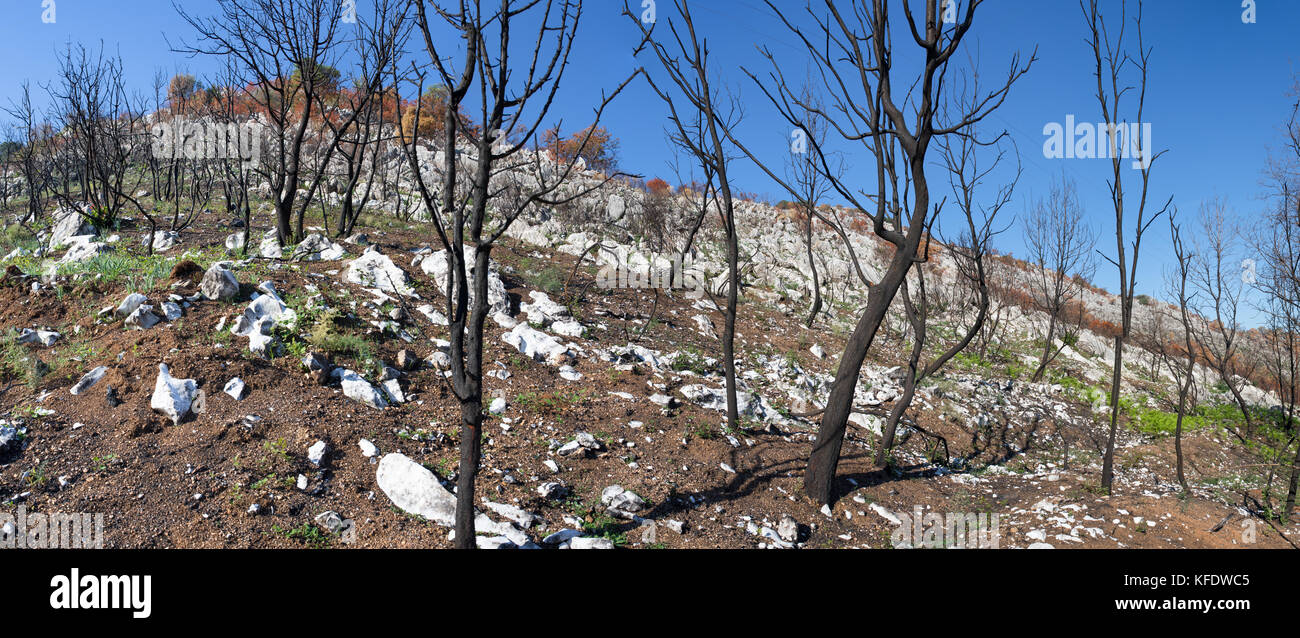 Verbrannt Pisten, Hügel, talus - die Straße runter vom höchsten Berg ...