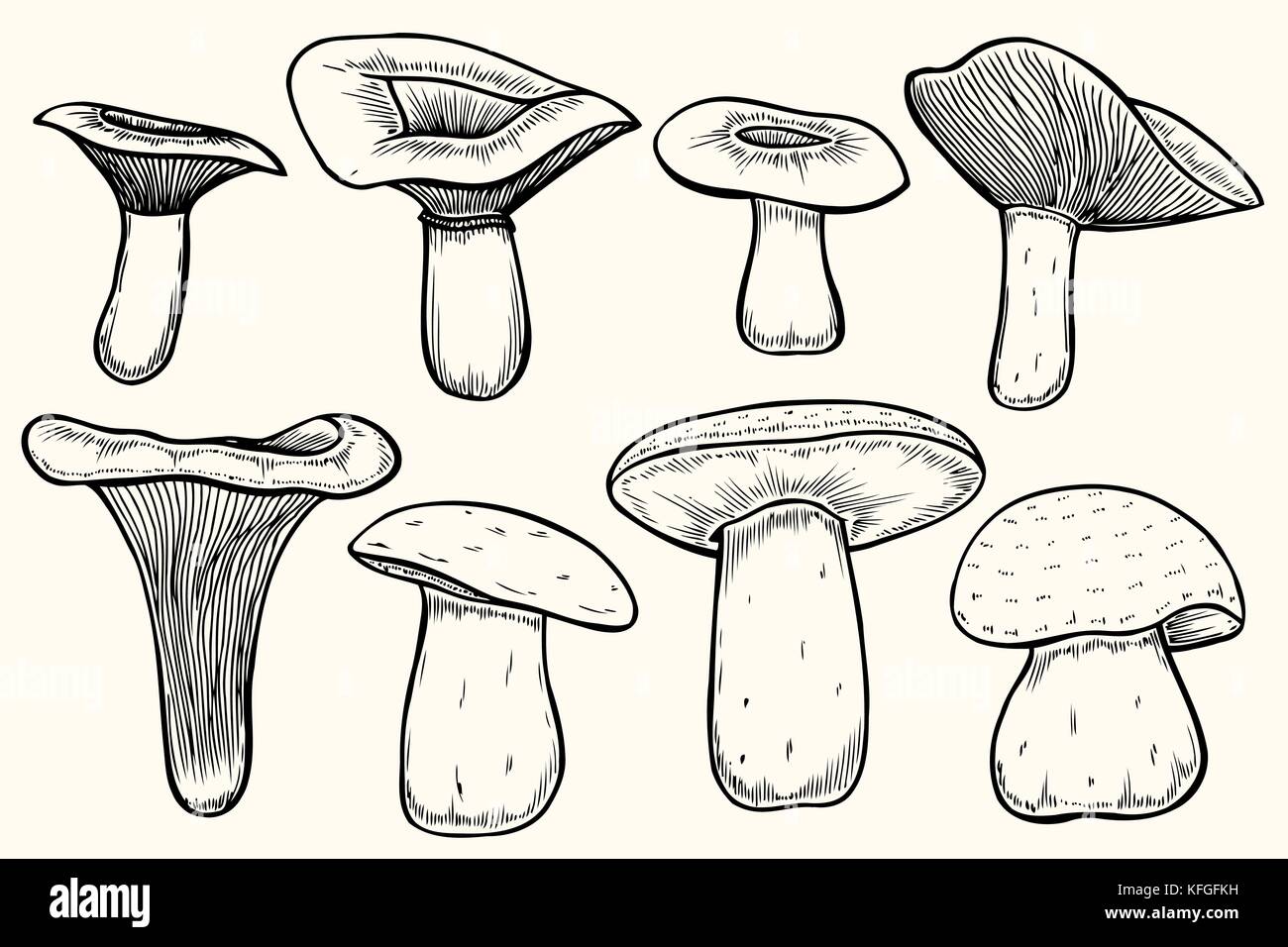 Mushroom illustration drawing engraving line Stock-Vektorgrafiken ...