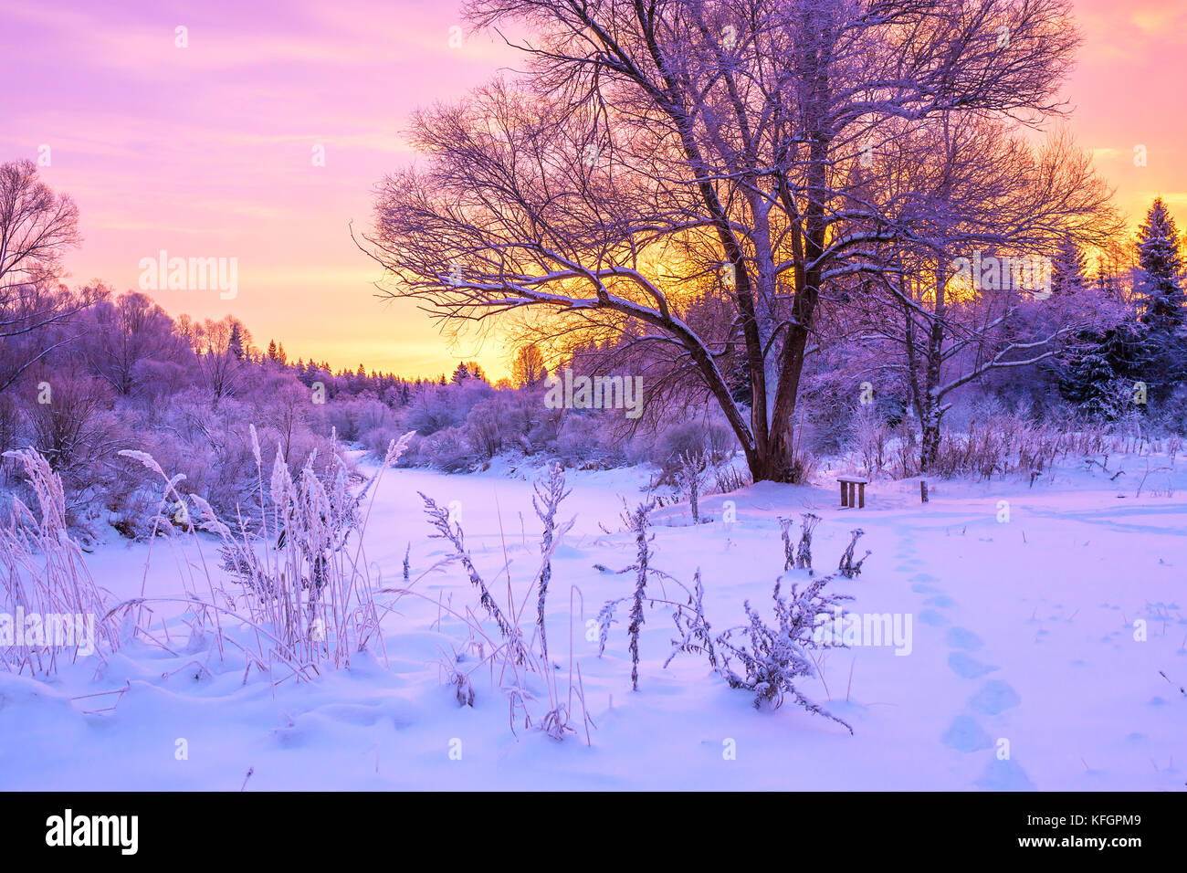 Schöne winterliche Landschaft mit Wald, Bäume und Sonnenaufgang ...
