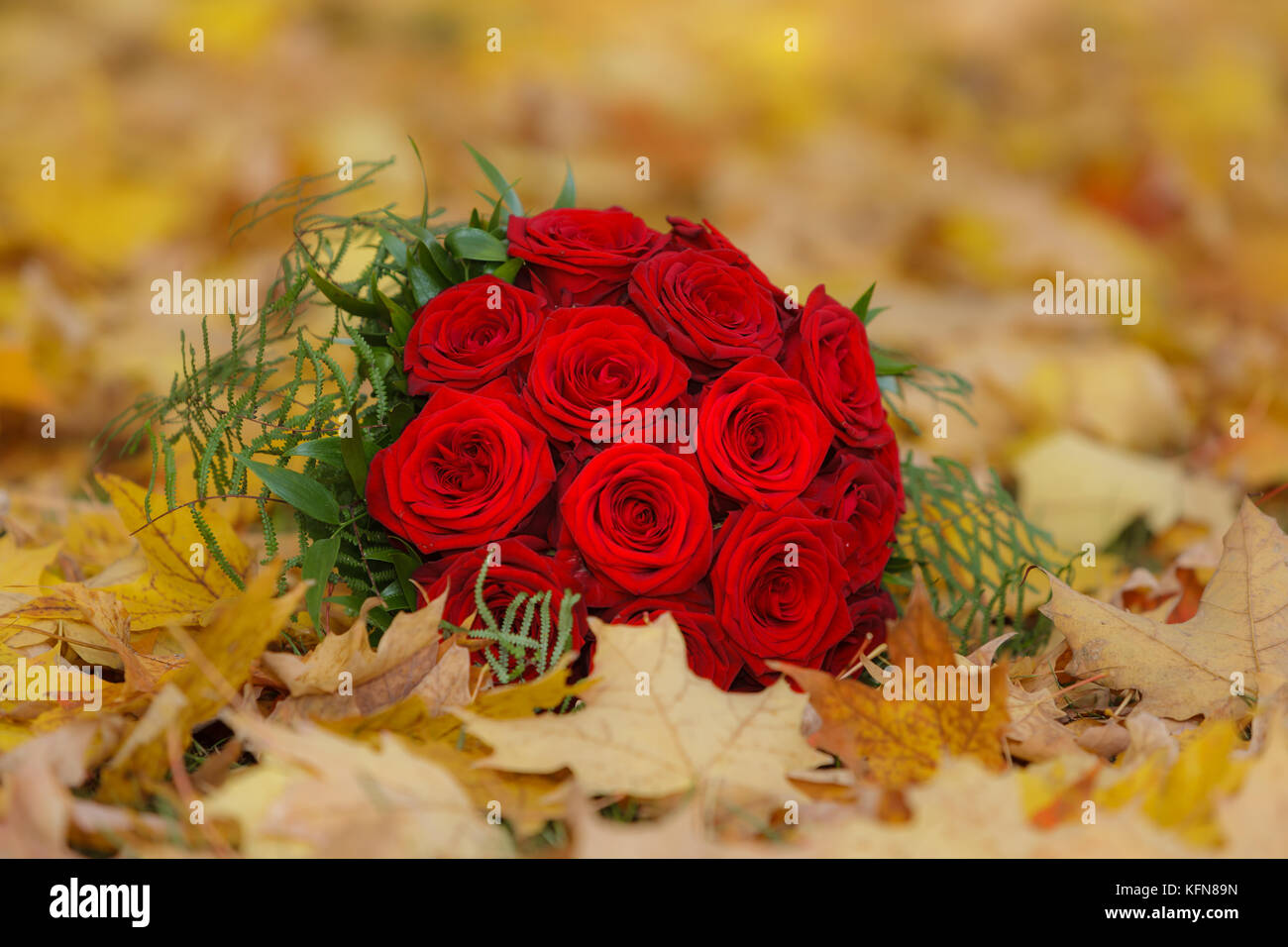 Strauss rote rosen -Fotos und -Bildmaterial in hoher Auflösung – Alamy