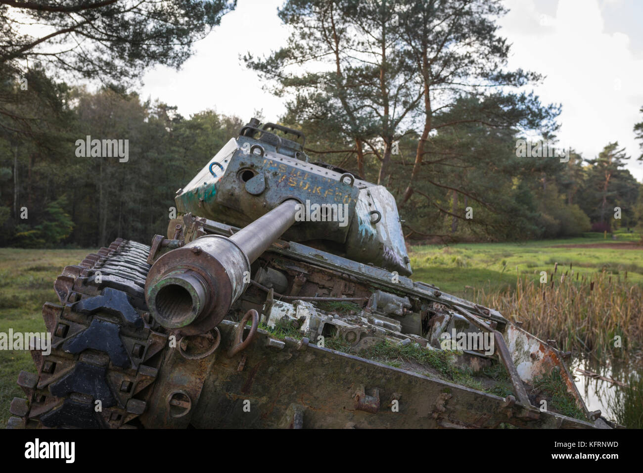 Panzer im wald tarnung -Fotos und -Bildmaterial in hoher Auflösung – Alamy