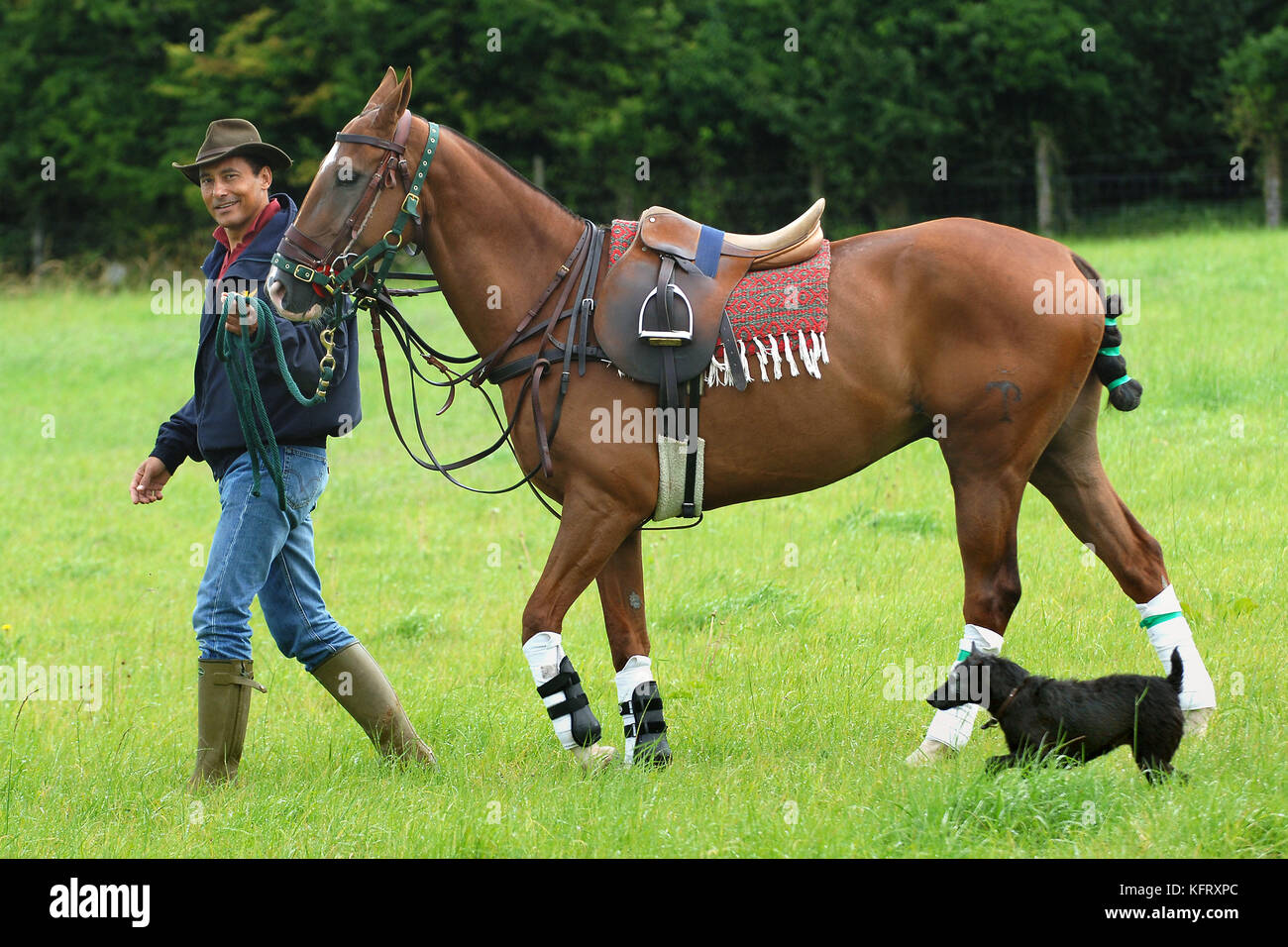 Martin ephson -Fotos und -Bildmaterial in hoher Auflösung – Alamy