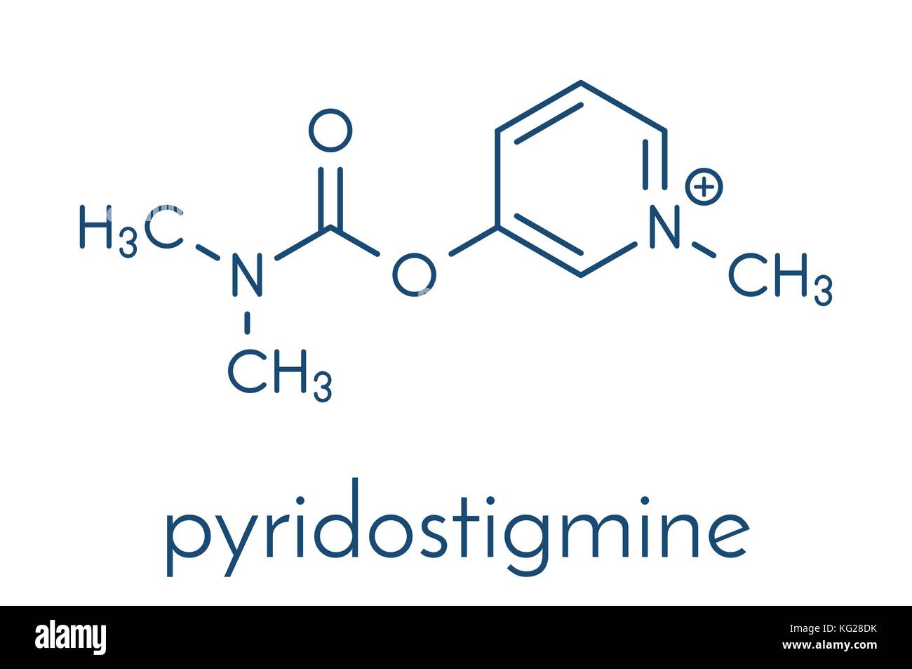 Pyridostigmin cholinesterase Droge Molekül, das in der Behandlung der ...