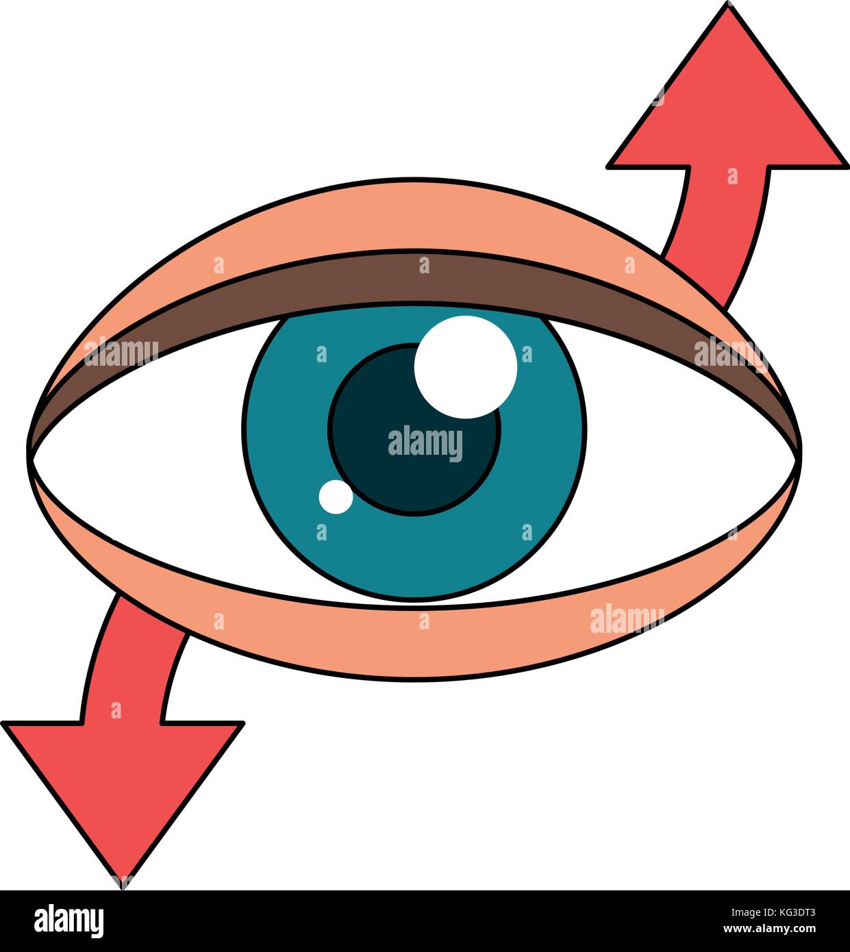 Menschliches Auge Modell Stock Vektorgrafiken Kaufen Alamy