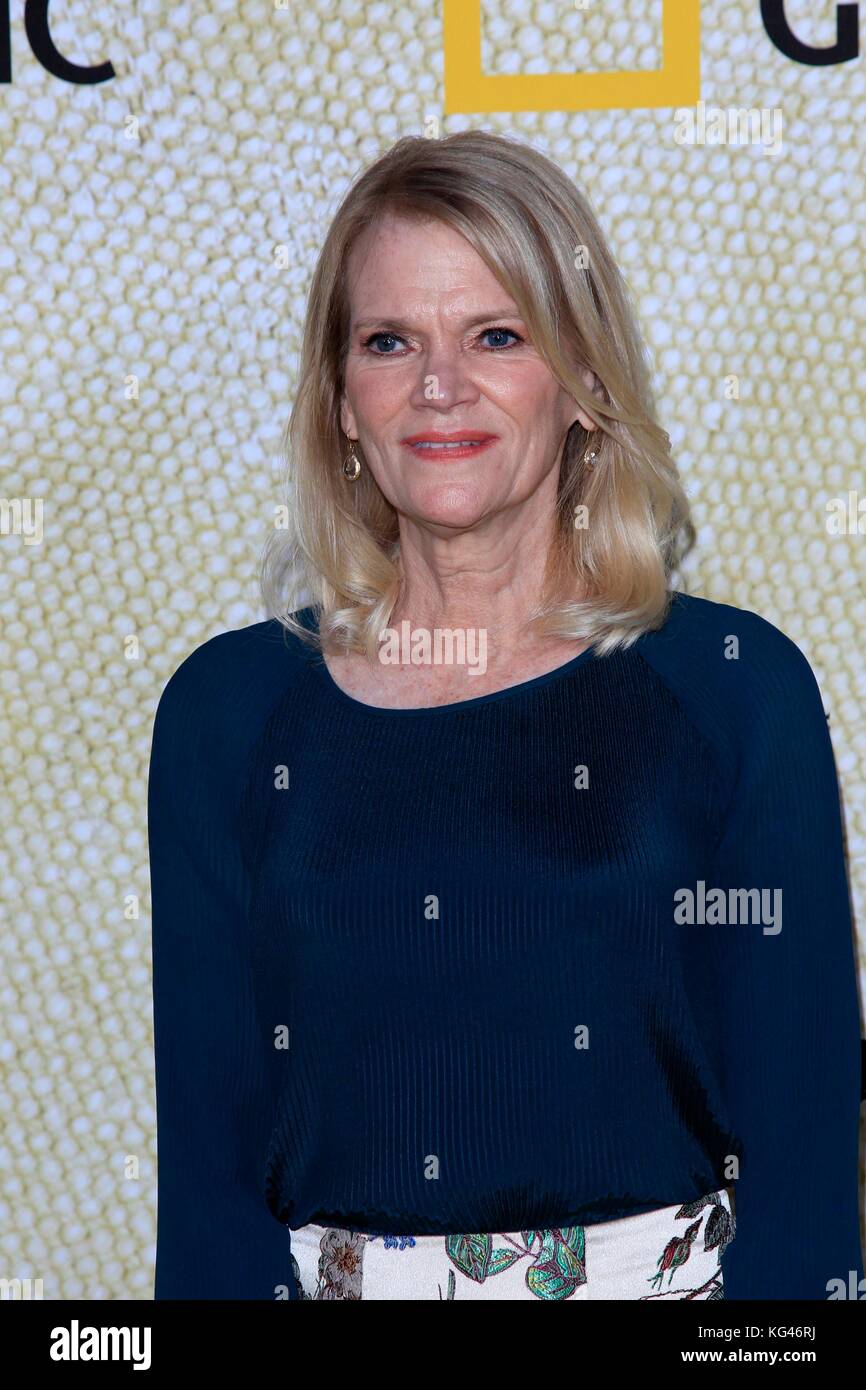 Martha raddatz -Fotos und -Bildmaterial in hoher Auflösung – Alamy