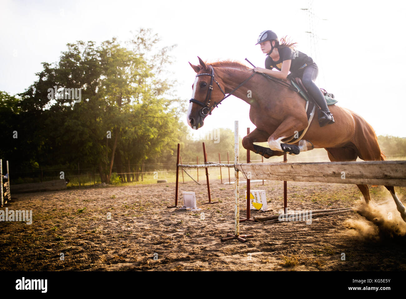 Weißes pferd springen -Fotos und -Bildmaterial in hoher Auflösung – Alamy