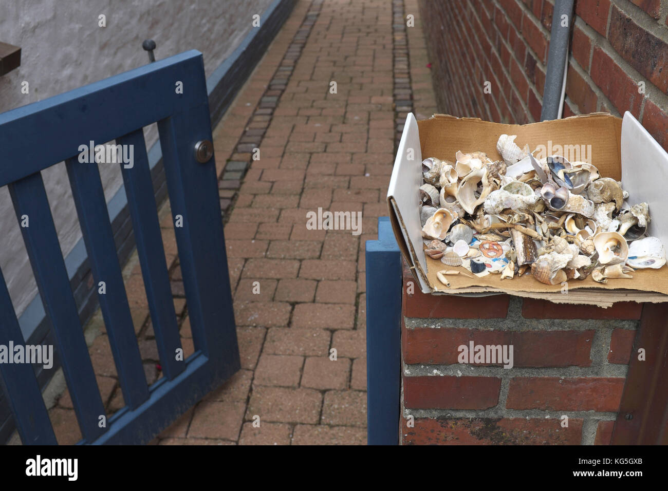 Schalensammlung -Fotos und -Bildmaterial in hoher Auflösung – Alamy