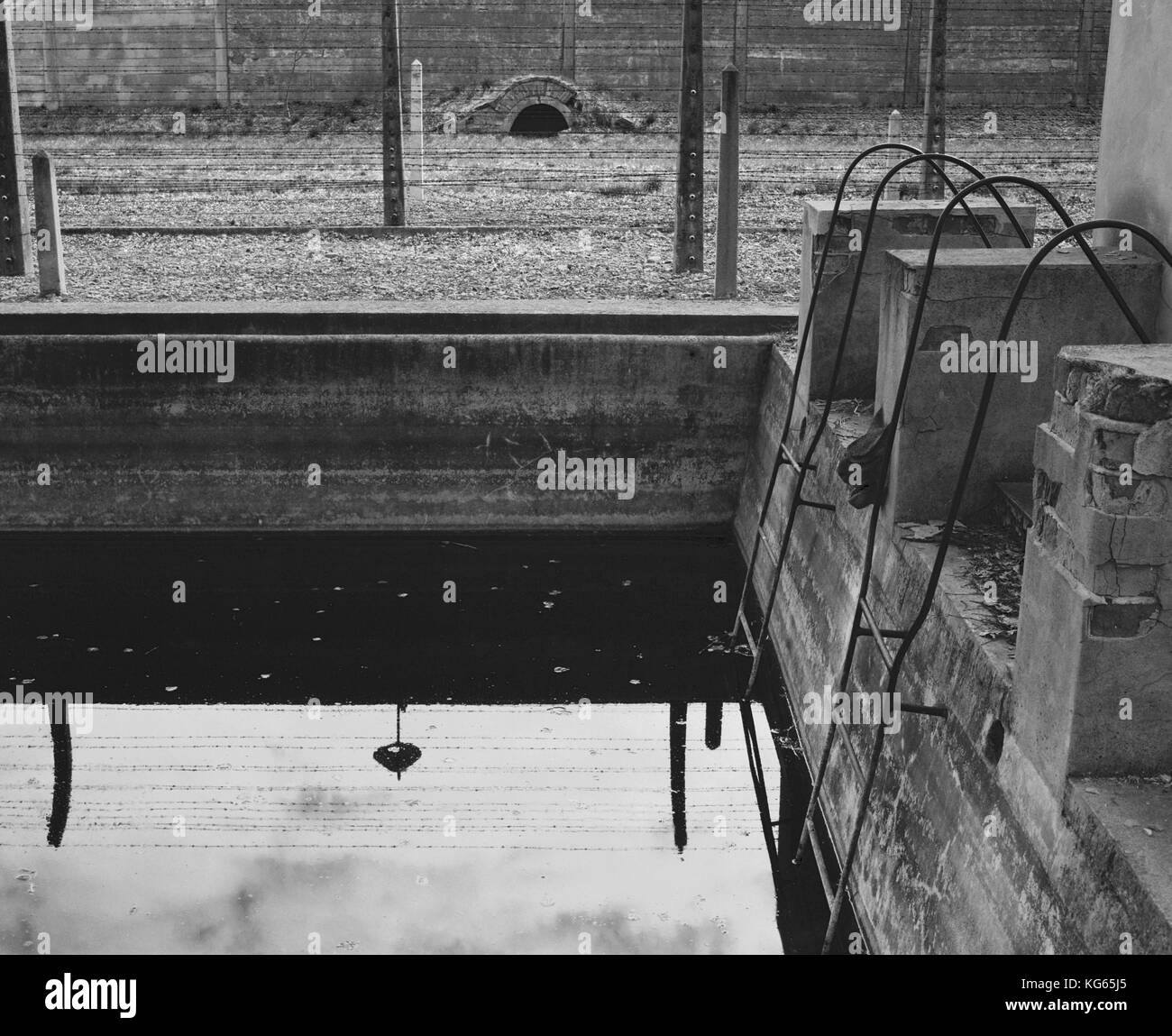 Konzentrationslager kapo -Fotos und -Bildmaterial in hoher Auflösung ...