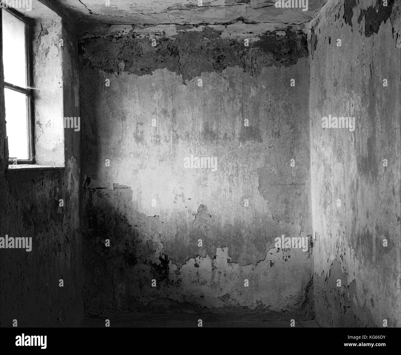 Konzentrationslager kapo -Fotos und -Bildmaterial in hoher Auflösung ...