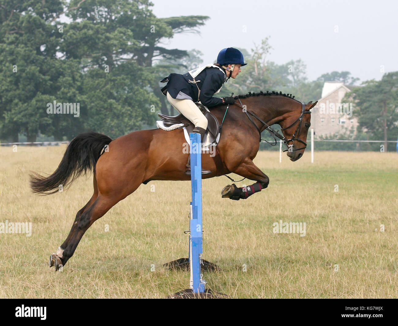 Springender zaun -Fotos und -Bildmaterial in hoher Auflösung – Alamy