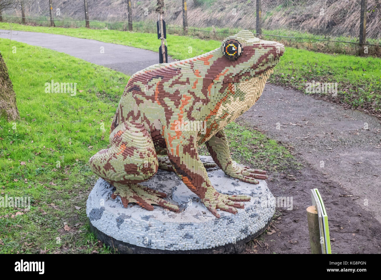 Lego frosch -Fotos und -Bildmaterial in hoher Auflösung – Alamy