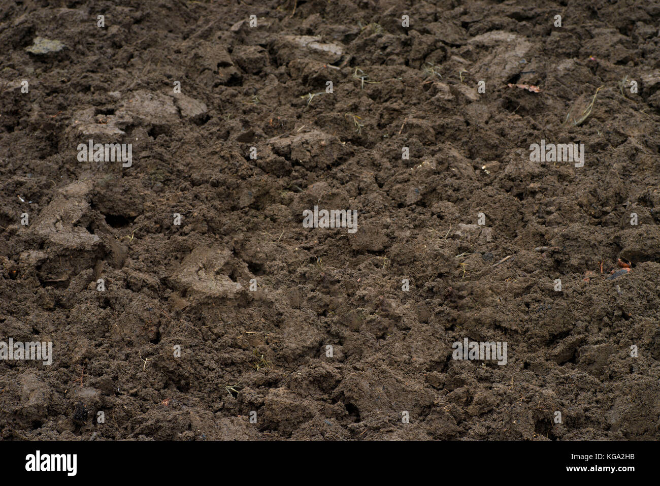 Brown soil -Fotos und -Bildmaterial in hoher Auflösung – Alamy