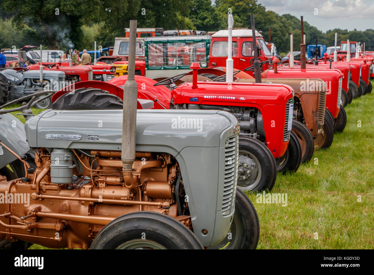 Reihe der 1950er und 60er Jahre Massey-Ferguson Traktoren auf der 2017 ...
