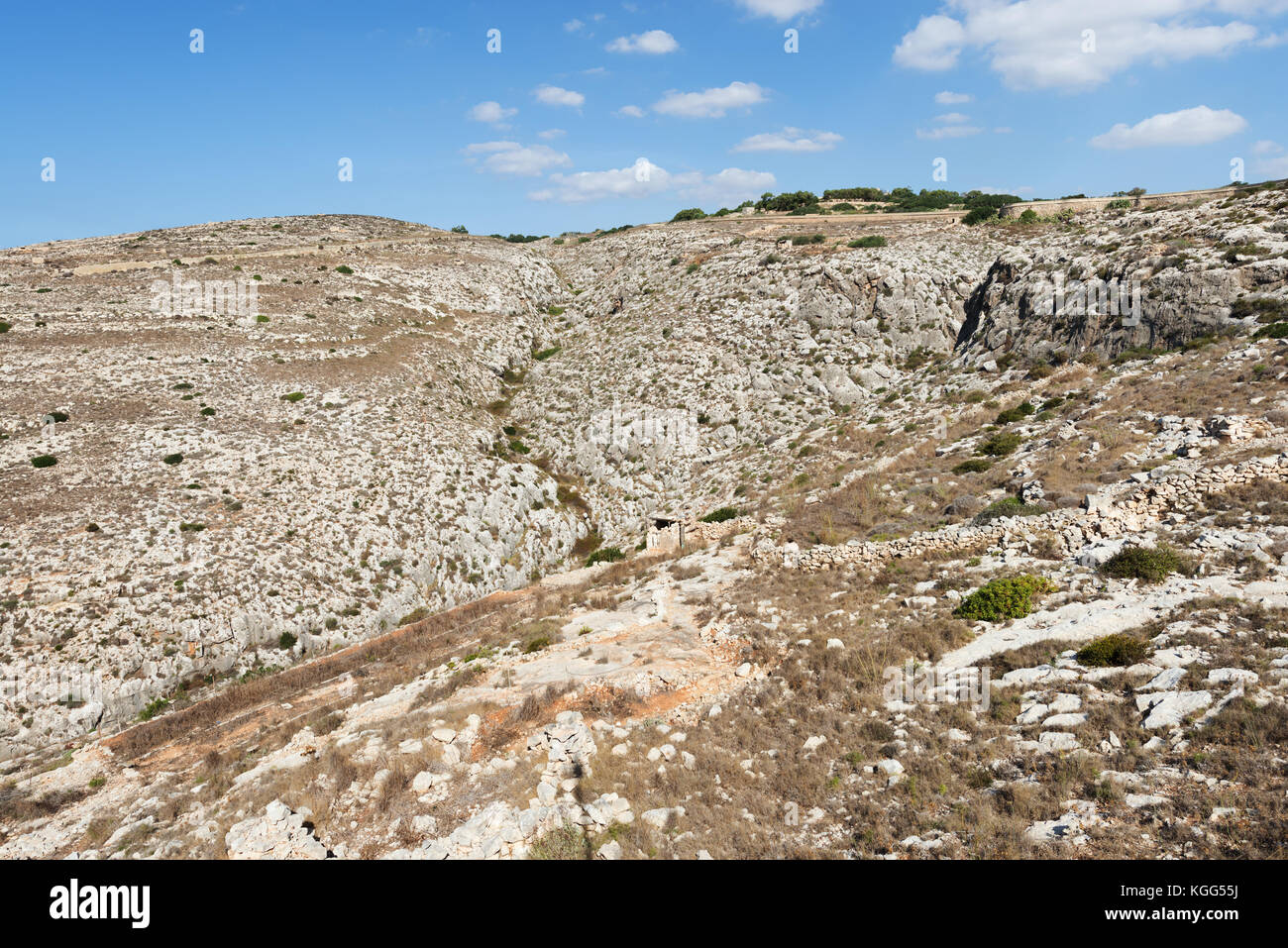 Garrigue vegetation -Fotos und -Bildmaterial in hoher Auflösung – Alamy