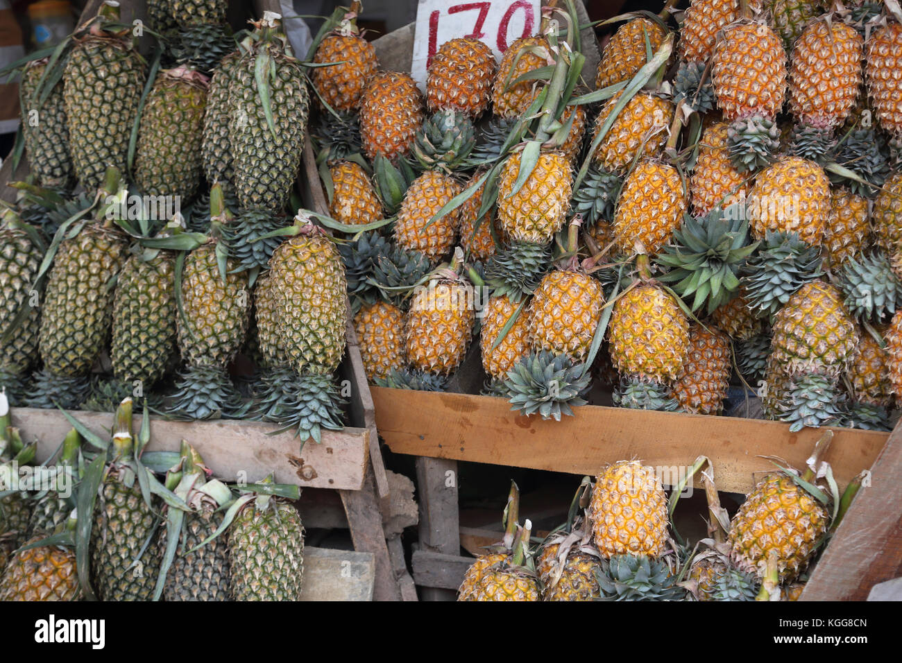 Sri lanka ananas -Fotos und -Bildmaterial in hoher Auflösung – Alamy