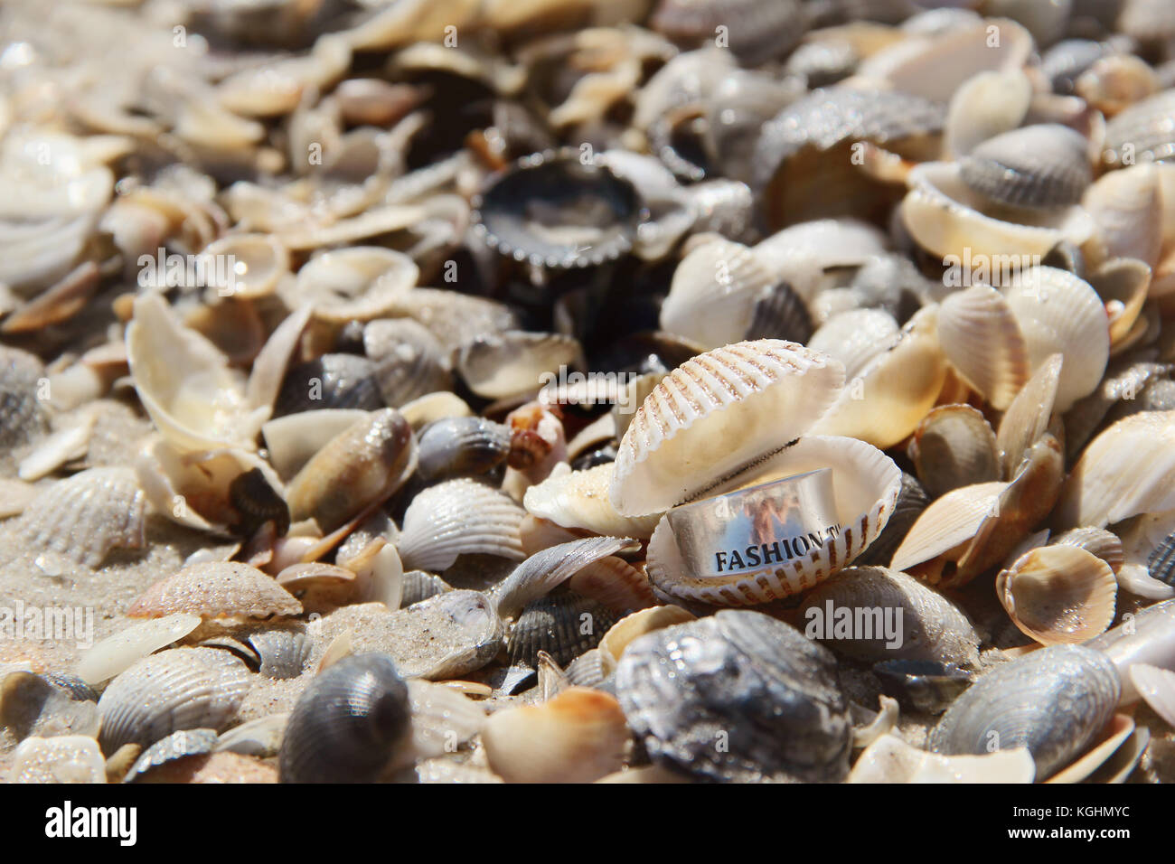 Silber sand -Fotos und -Bildmaterial in hoher Auflösung – Alamy