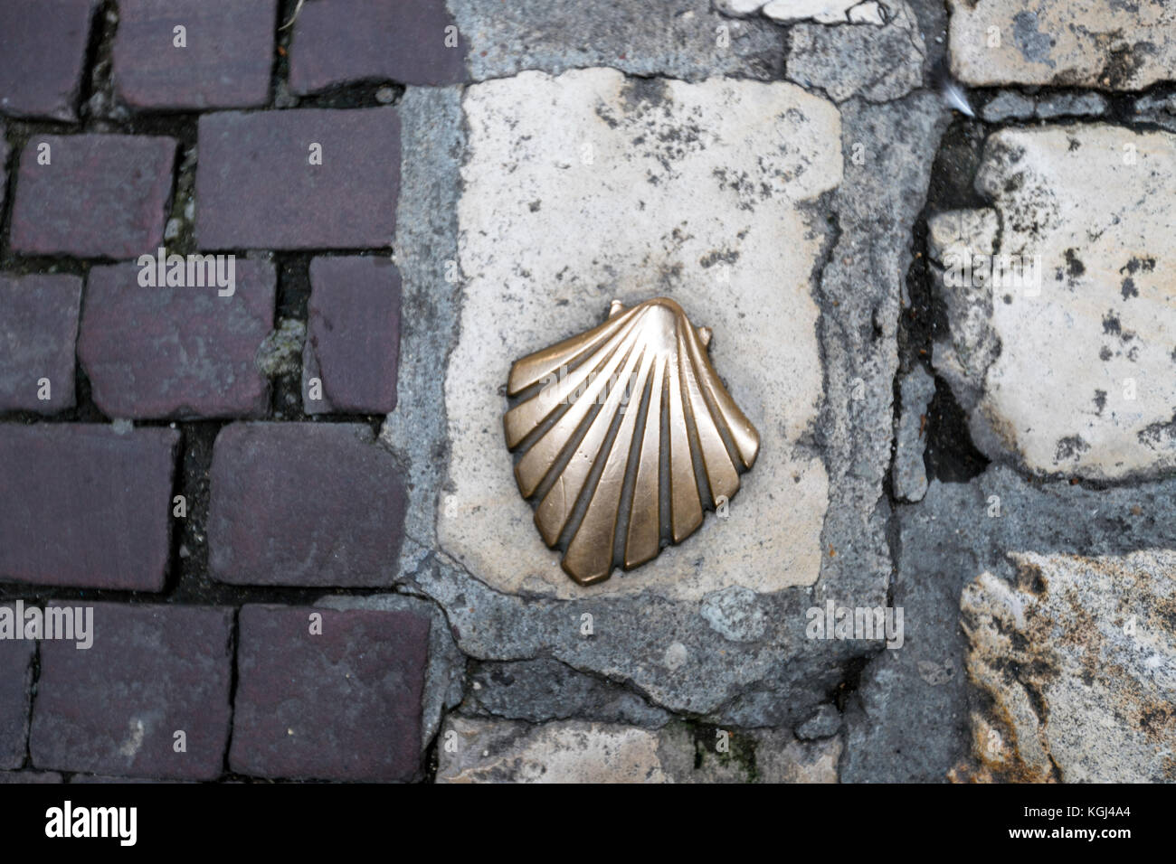 Ikonische muschel -Fotos und -Bildmaterial in hoher Auflösung – Alamy