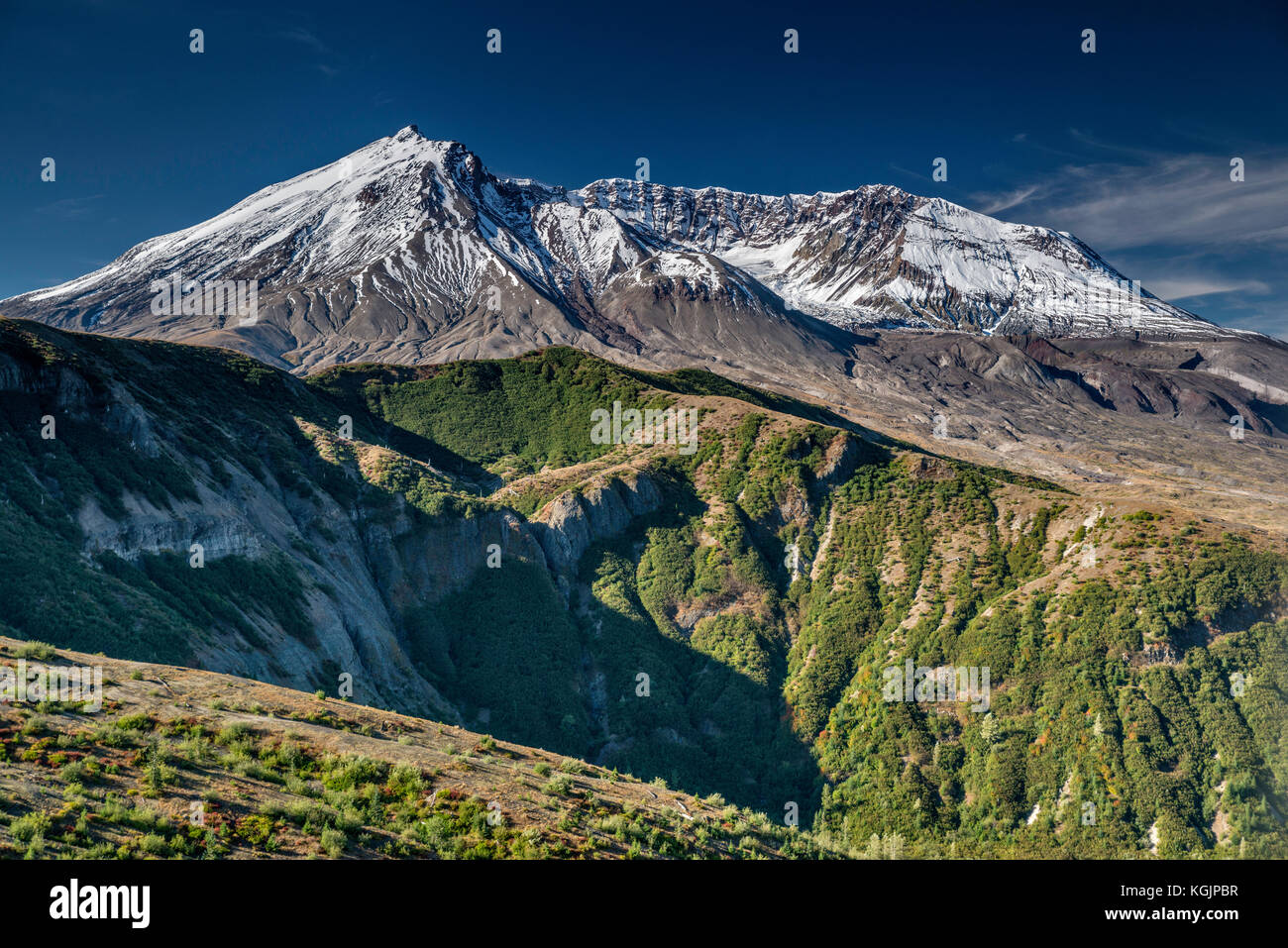 Mount St. Helens Vulkan, von Windy Ridge Viewpoint, Mount St. Helens ...