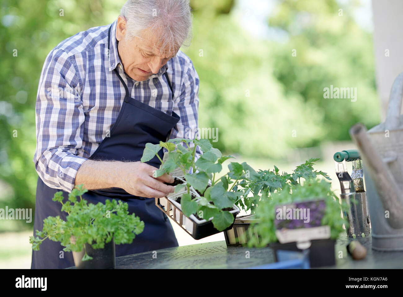 Junge Im Ruhestand Stockfotos und -bilder Kaufen - Alamy