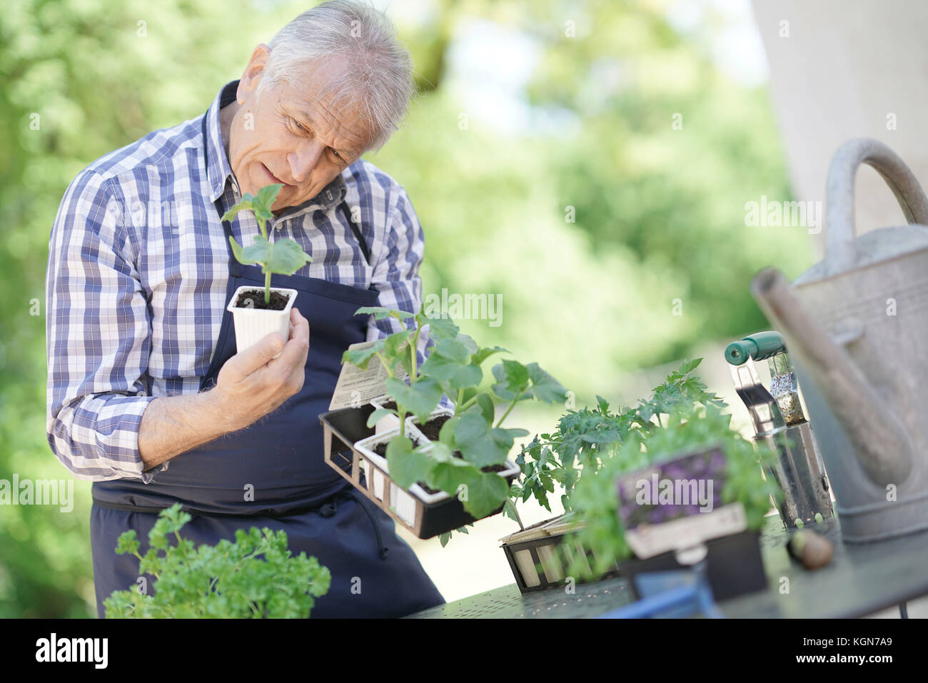 Junge Im Ruhestand Stockfotos und -bilder Kaufen - Alamy